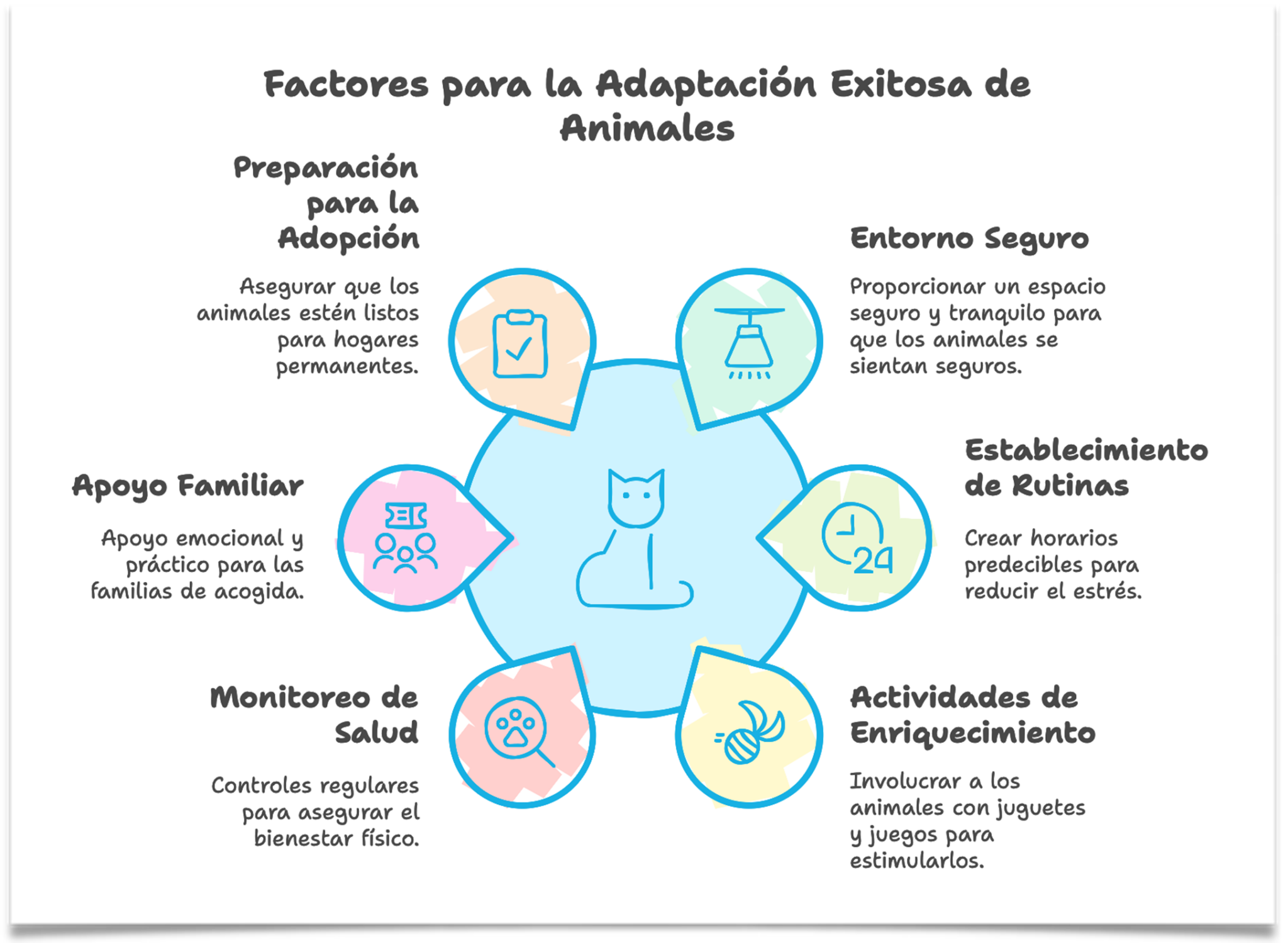 Consejos para la adaptación de animales acogidos en situación de ...