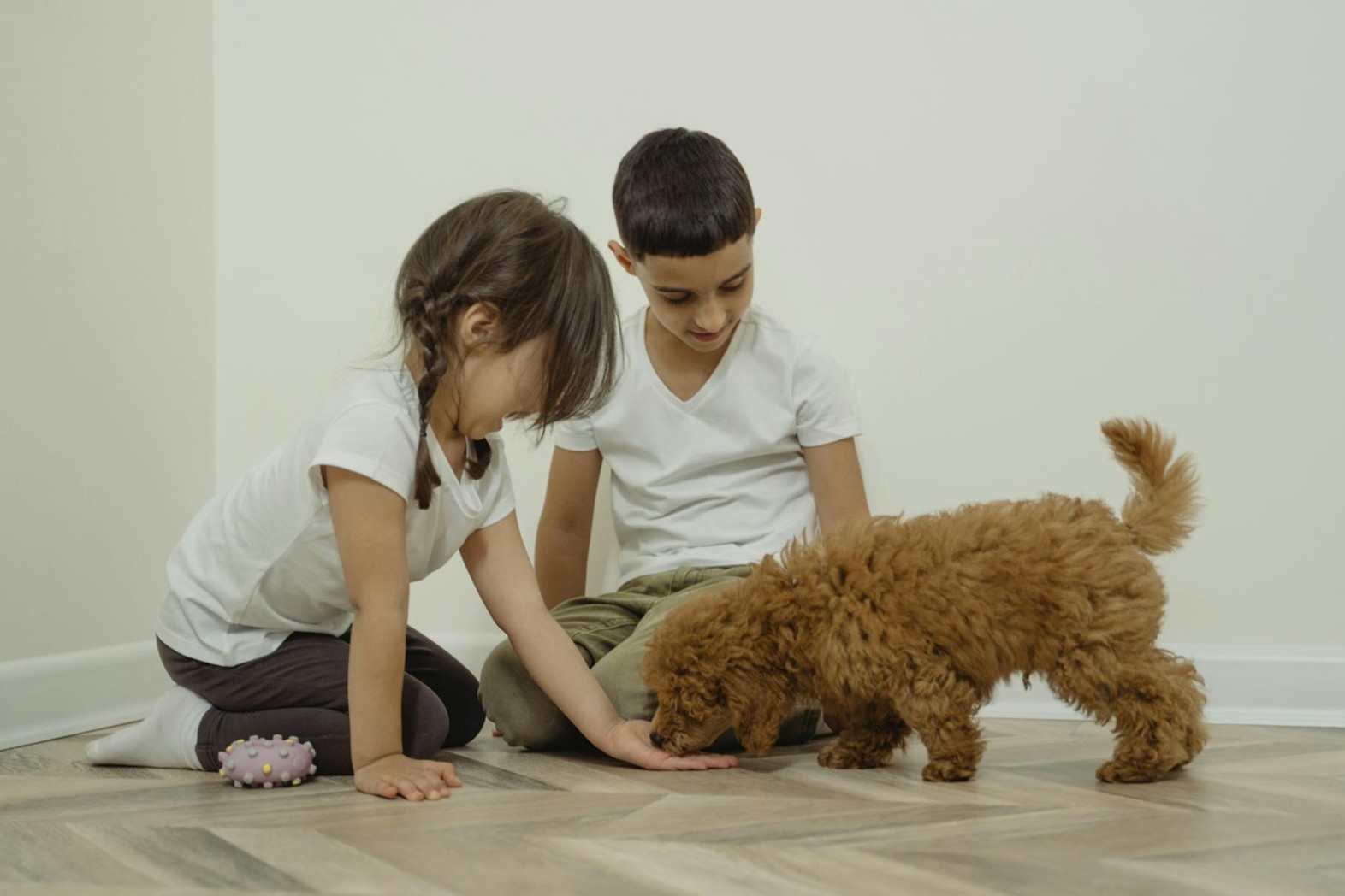 Actividades con niños - GEMCA