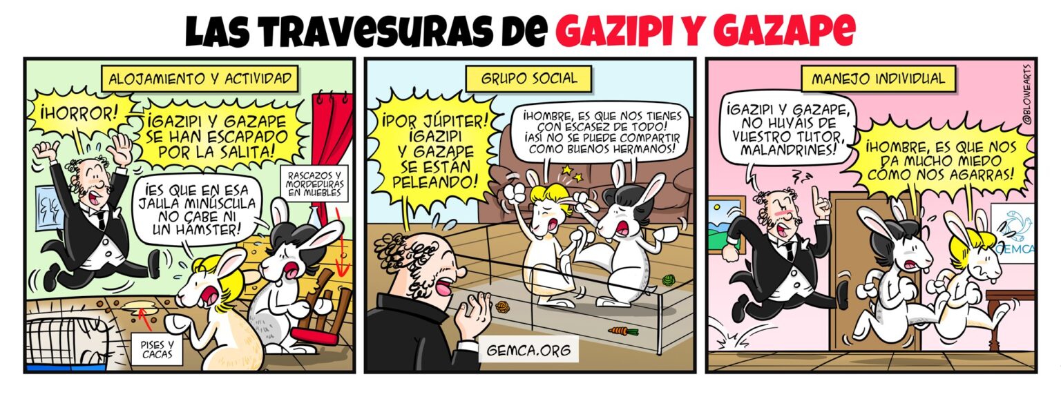 Conducta y bienestar del conejo - GEMCA